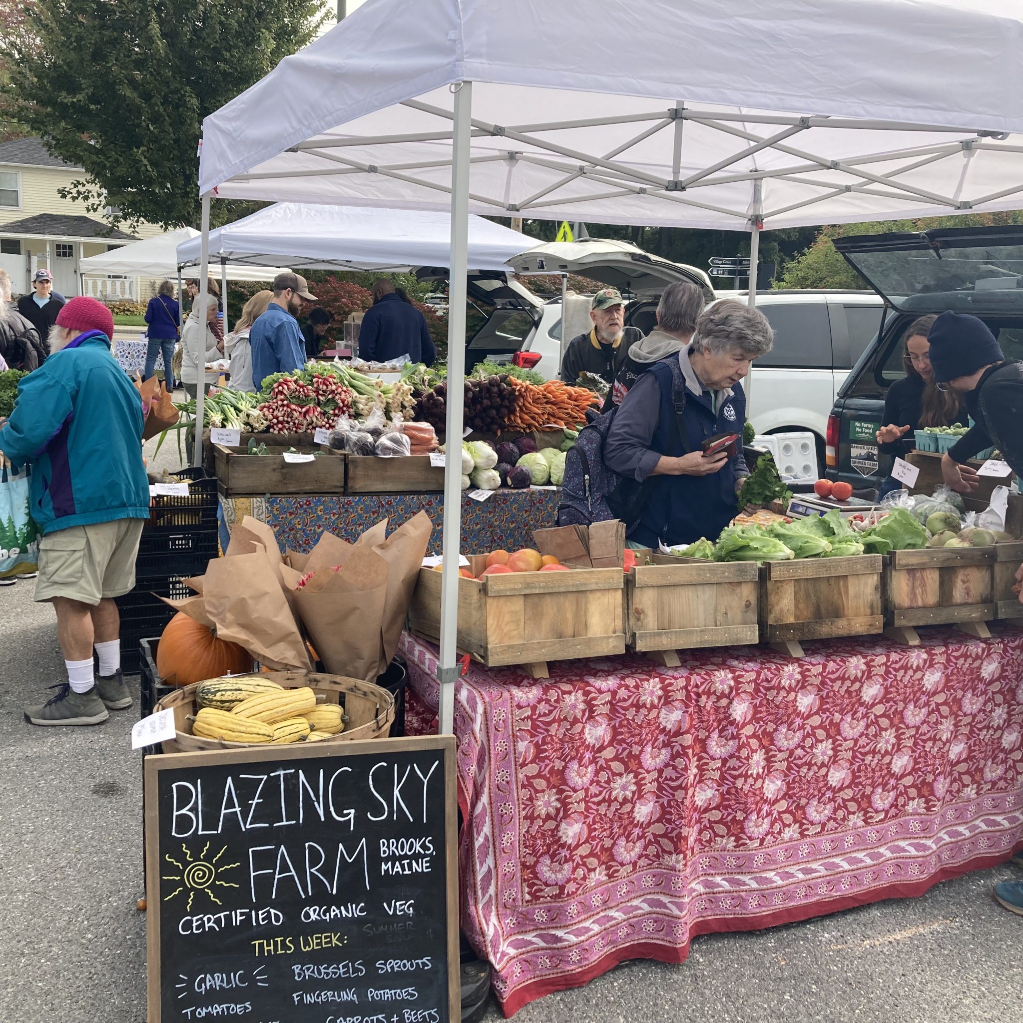 Senior FarmShare Partnership Expansion and what it means for you ...